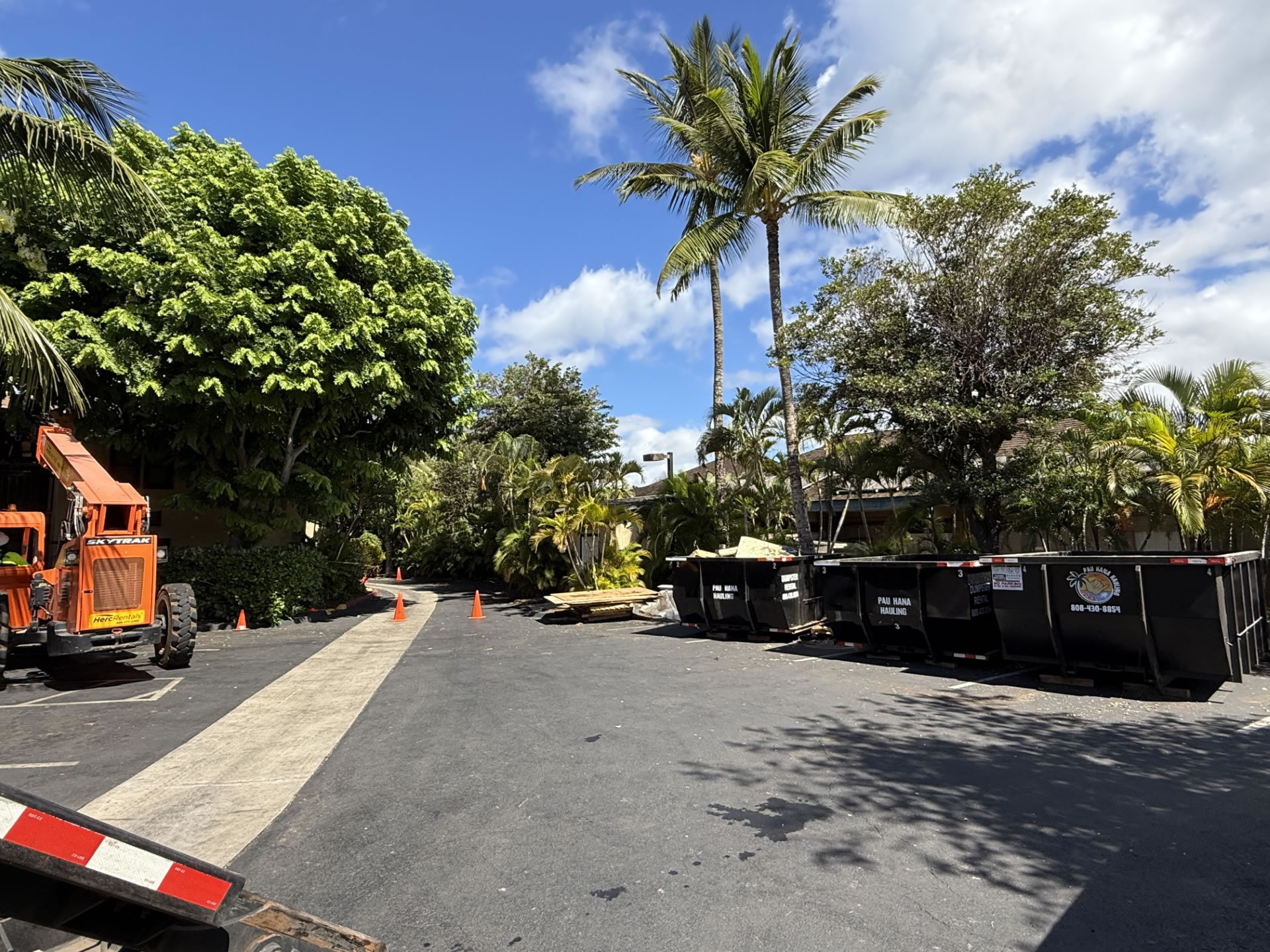 Maui Business For Sale